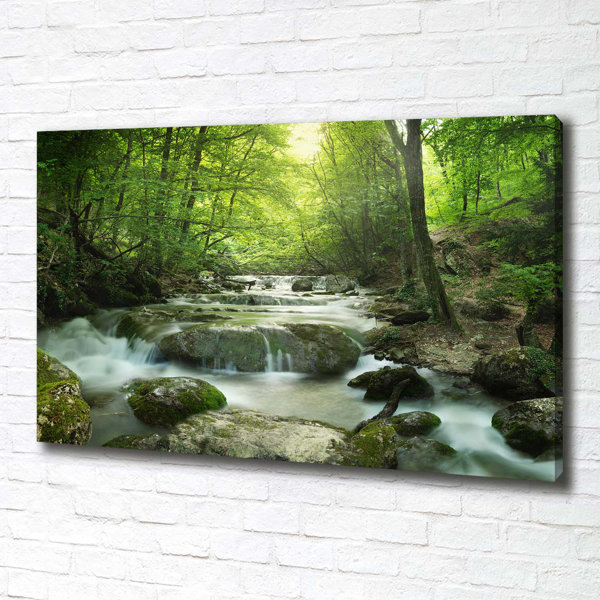 Union Rustic Wasserfall im Wald - Kunstdrucke auf Leinwand | Wayfair.de